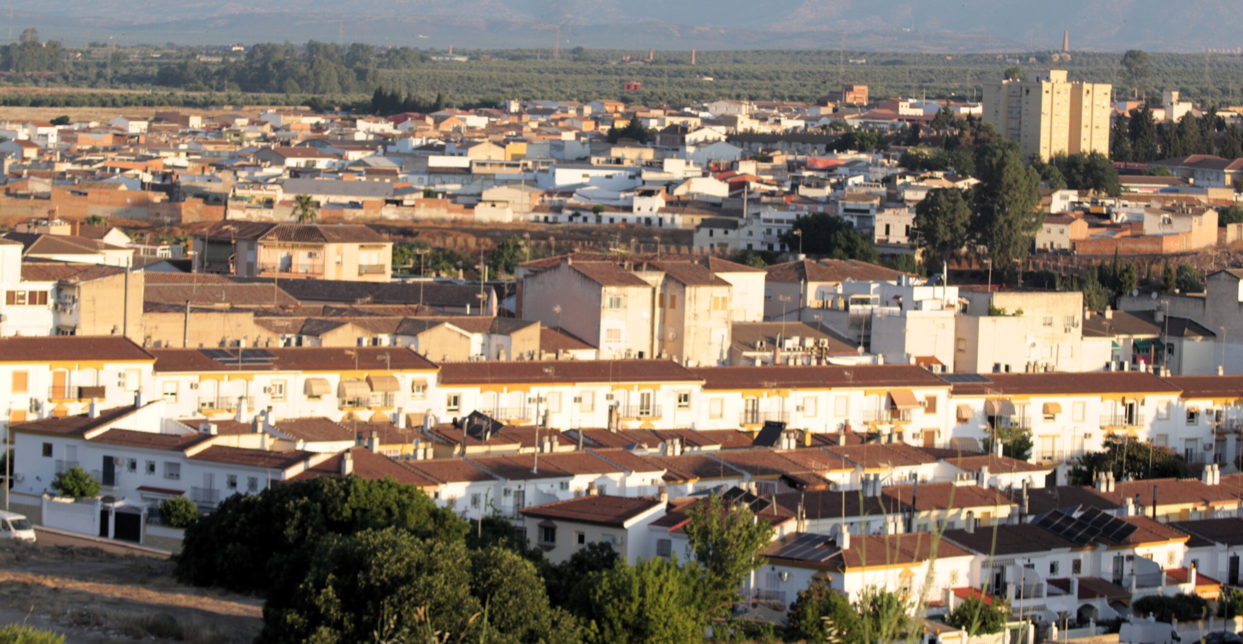 Comienza la tramitación del nuevo PGOM que sentará las bases del ...