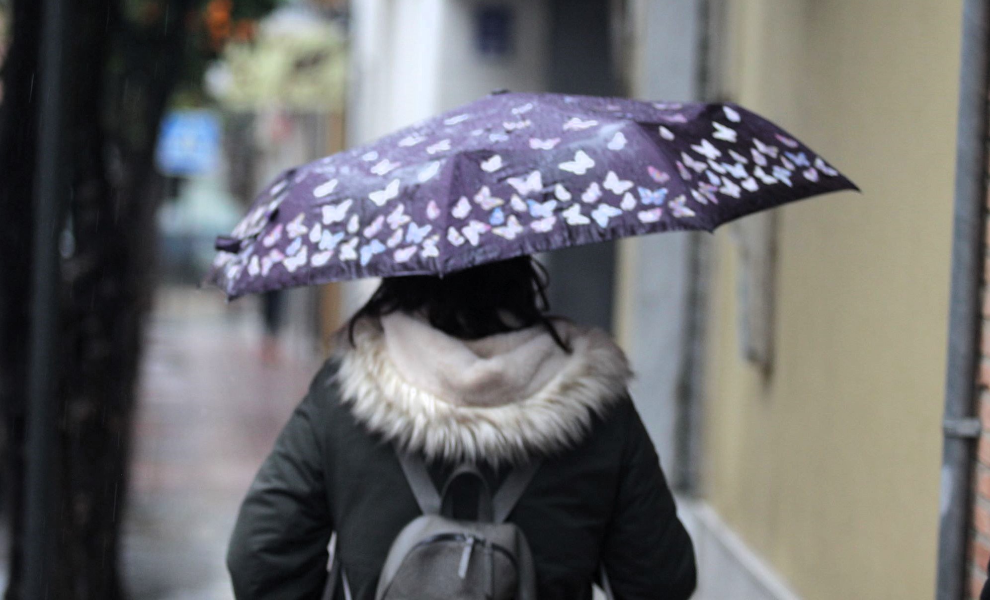 El invierno regresa a Linares: lluvia y frío durante el fin de semana ...