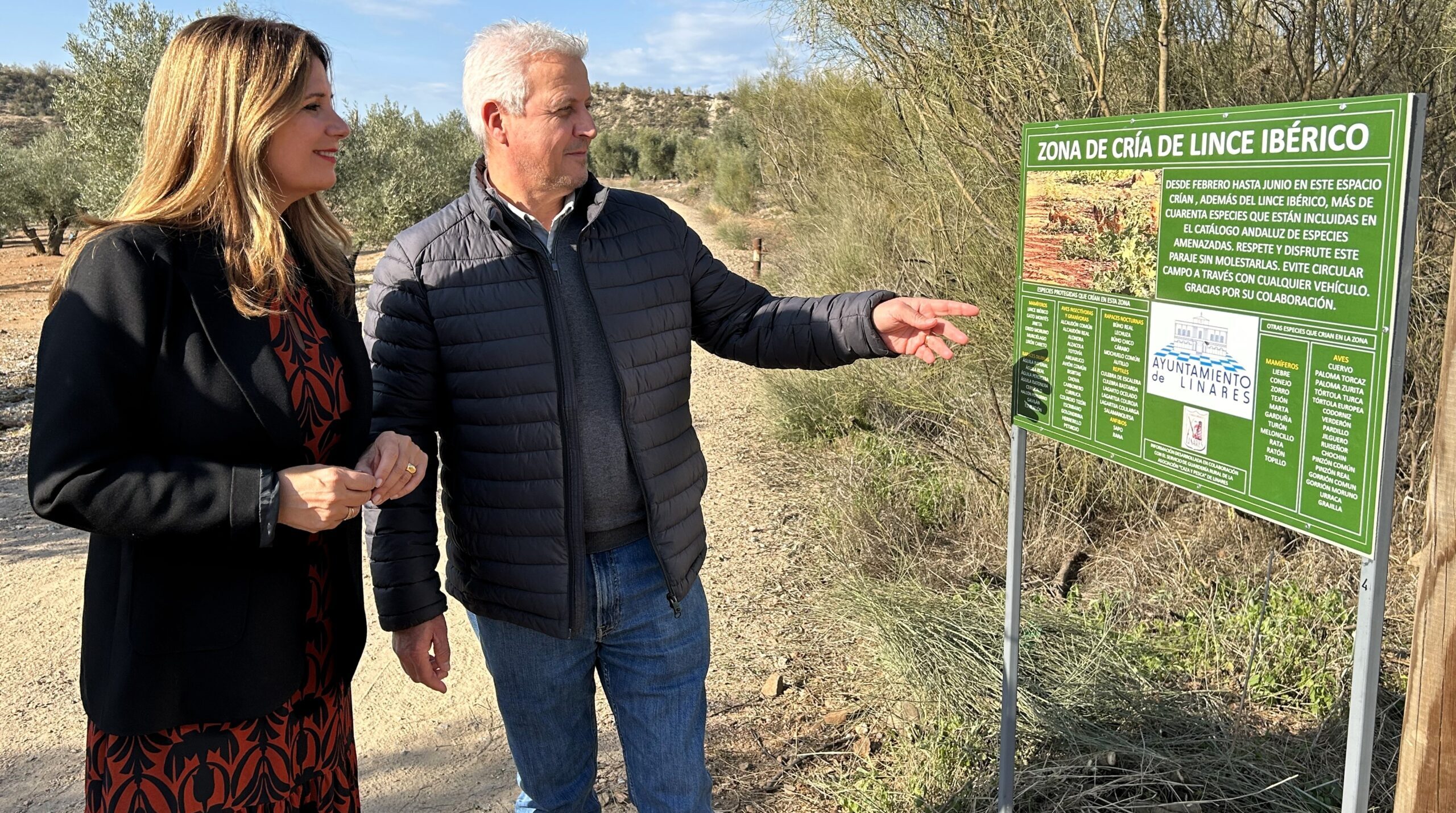 Carteles para la conservación del lince ibérico en Linares - El NUEVO ...